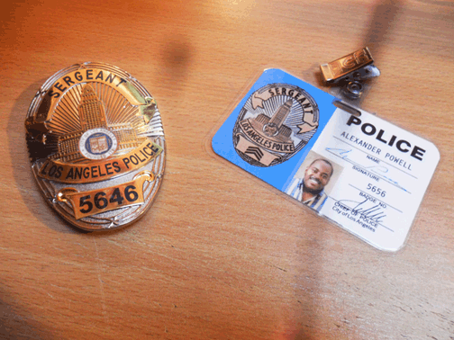 JoySinger's IDs - Unique Chances